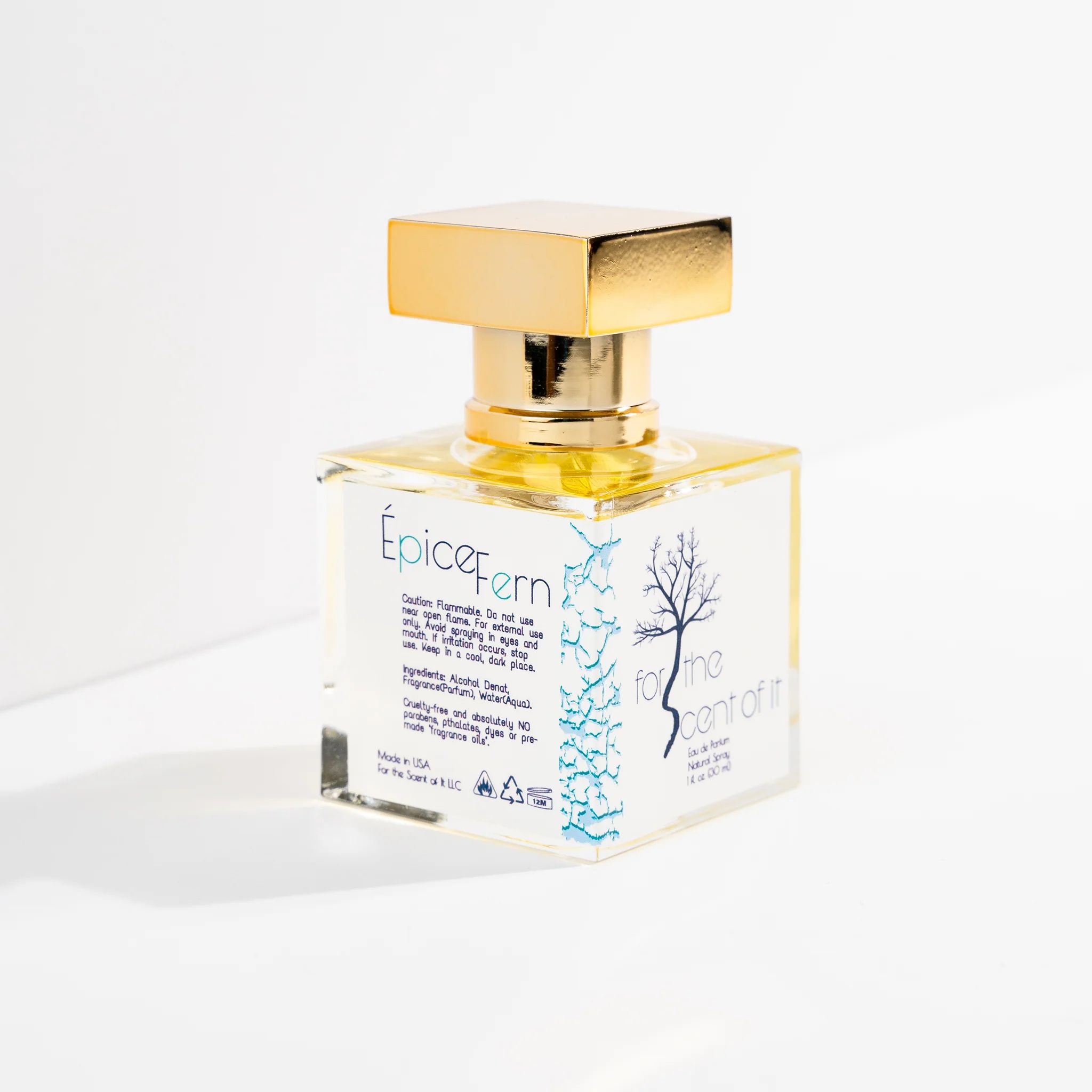 Épice Fern For the Scent of It perfume - a novo fragrância ...