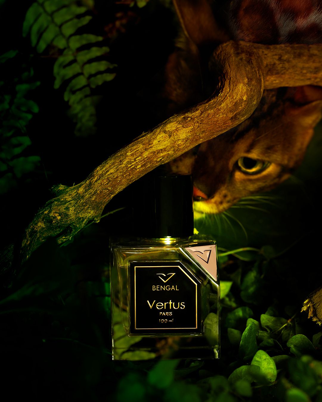 Bengal Vertus Parfum - ein neues Parfum für Frauen und Männer 2023