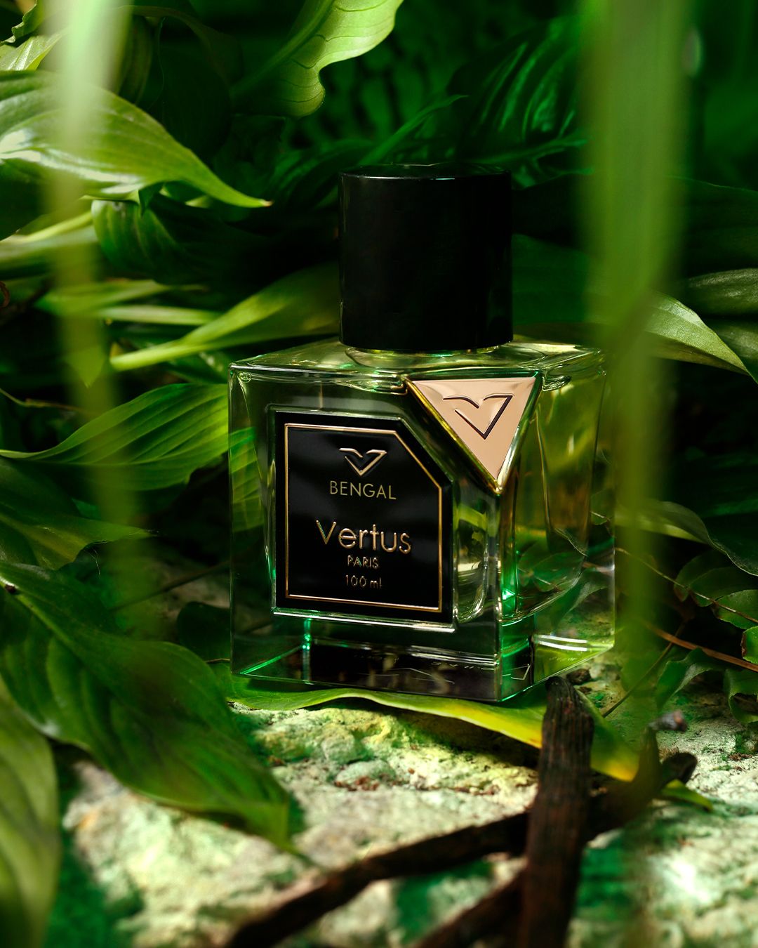 Bengal Vertus Parfum - ein neues Parfum für Frauen und Männer 2023
