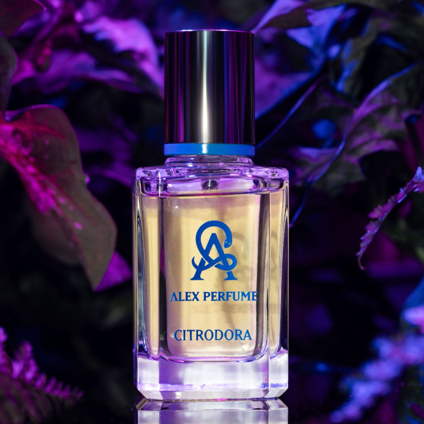 Citrodora Alex Perfume parfum - een nieuwe geur voor dames en heren 2023