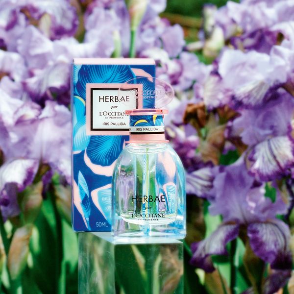 Herbae Iris Pallida L'Occitane en Provence - una novità fragranza da ...
