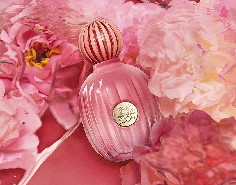 The Icon Splendid Antonio Banderas perfumy - to nowe perfumy dla kobiet ...