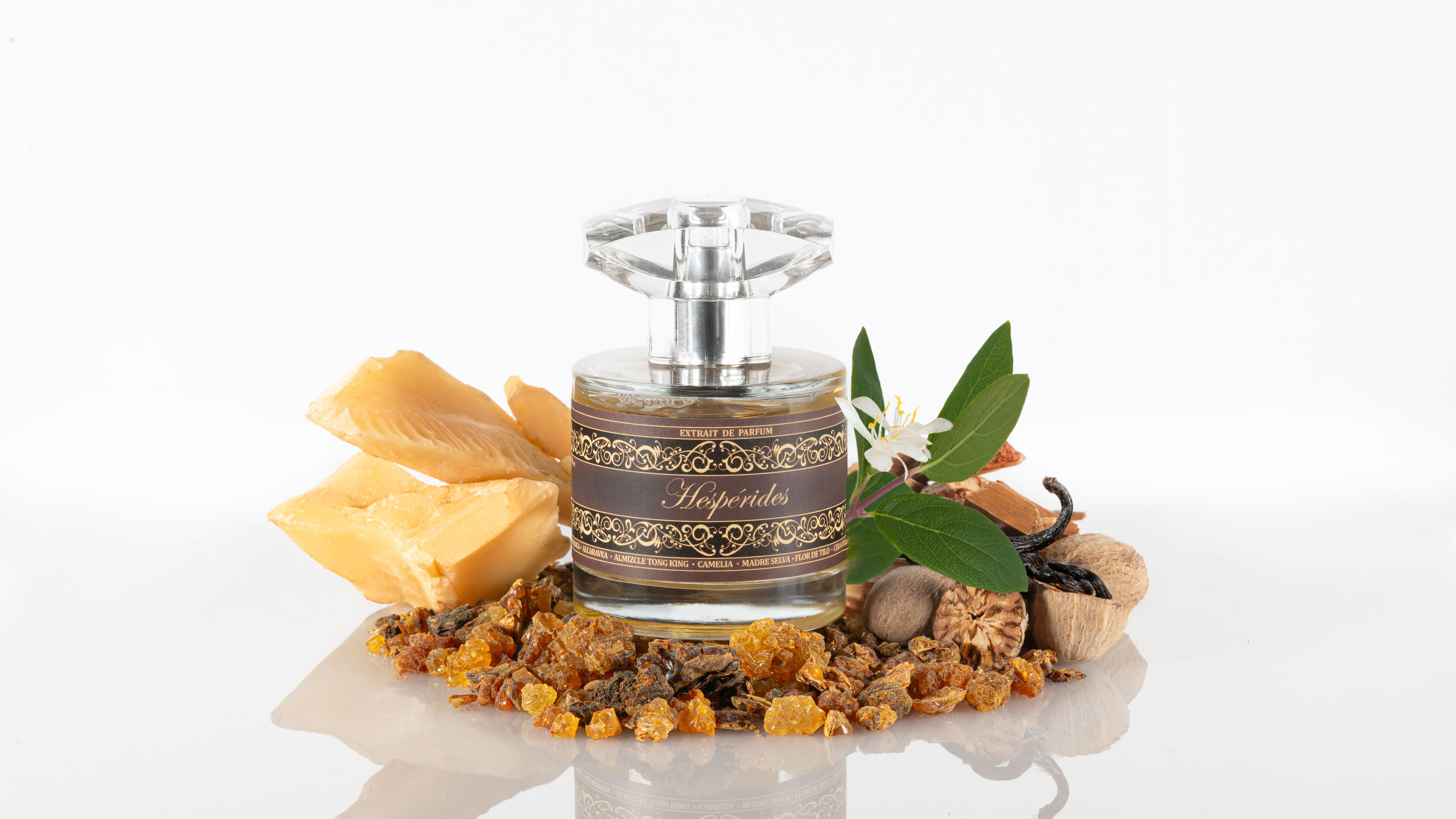 Hesperides Maese Pau parfum - un nouveau parfum pour homme et femme 2024