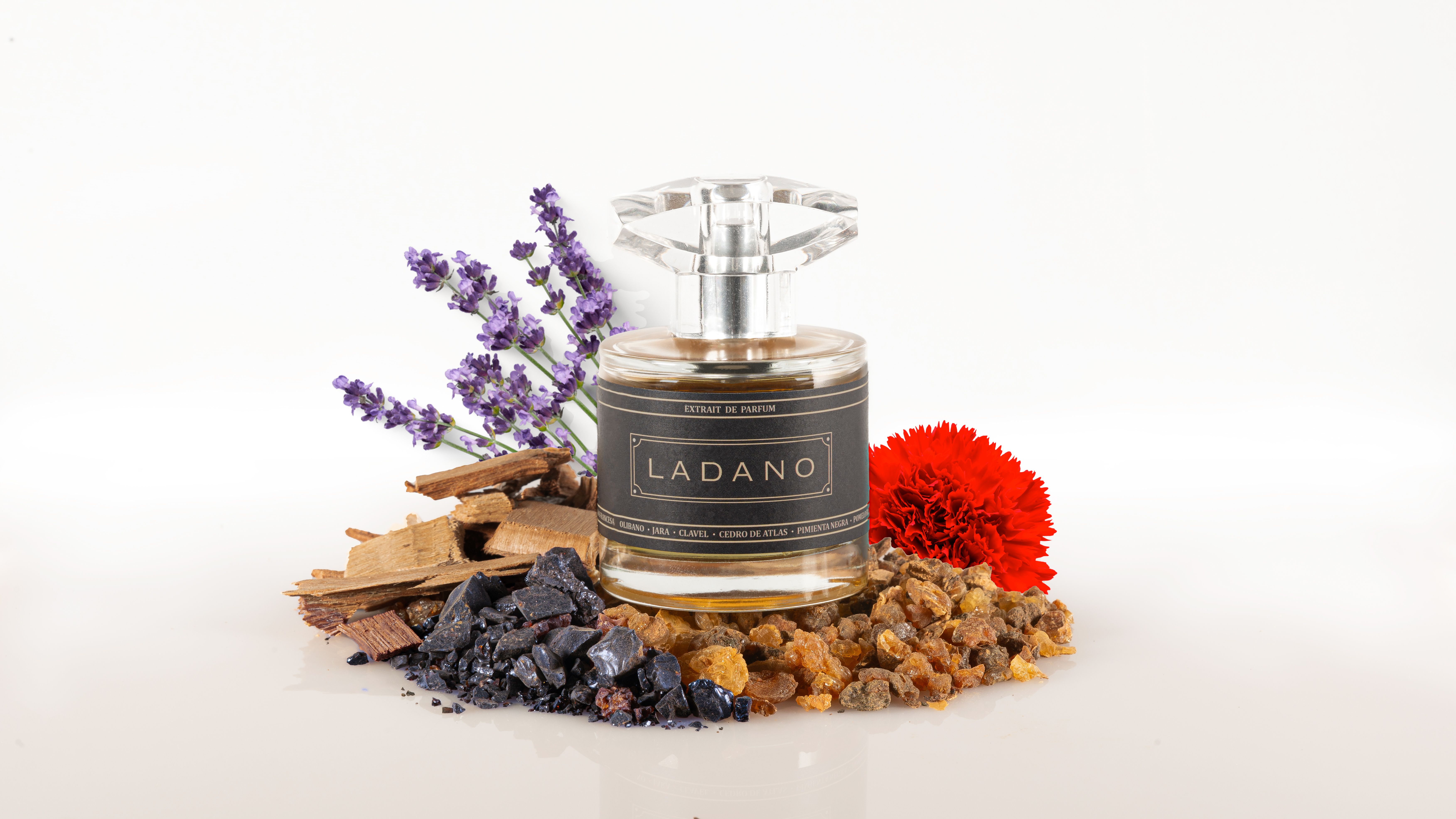 Ladano Maese Pau parfum - un nouveau parfum pour homme et femme 2024
