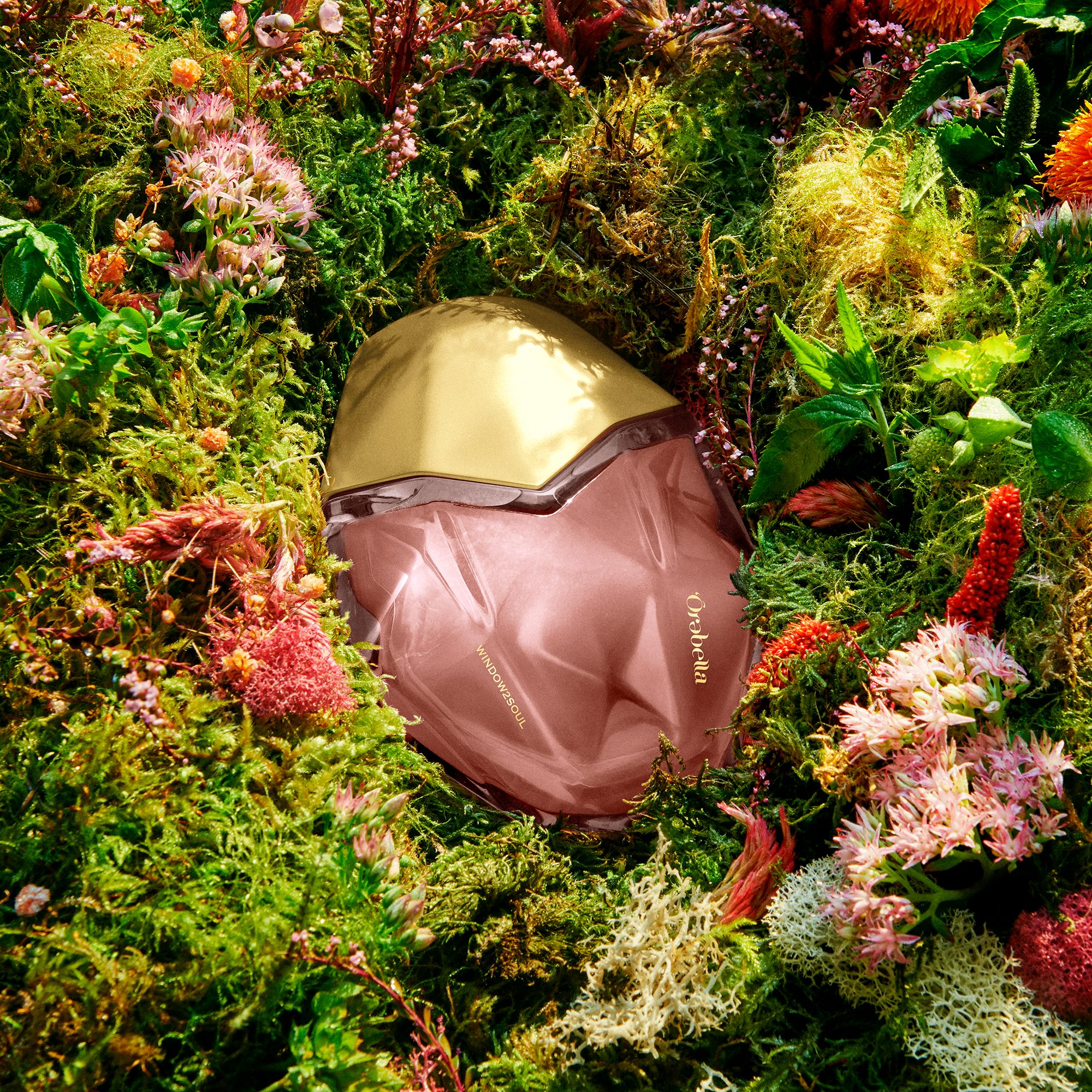 Window2Soul Orebella parfum - een nieuwe geur voor dames 2024