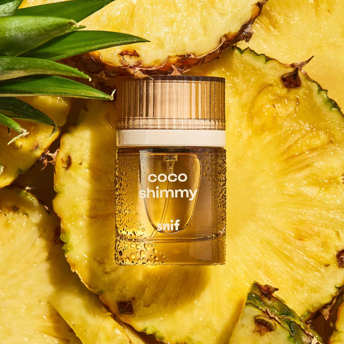 Coco Shimmy Snif Parfum - ein neues Parfum für Frauen und Männer 2024