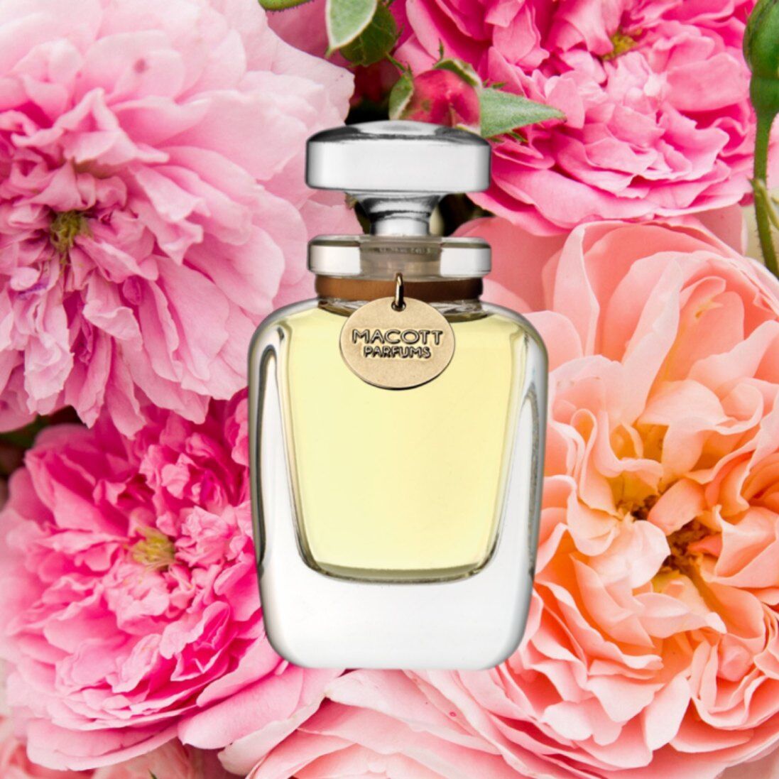 Modern Garden Roses Macott Parfums Parfum Een Nieuwe Geur Voor Dames