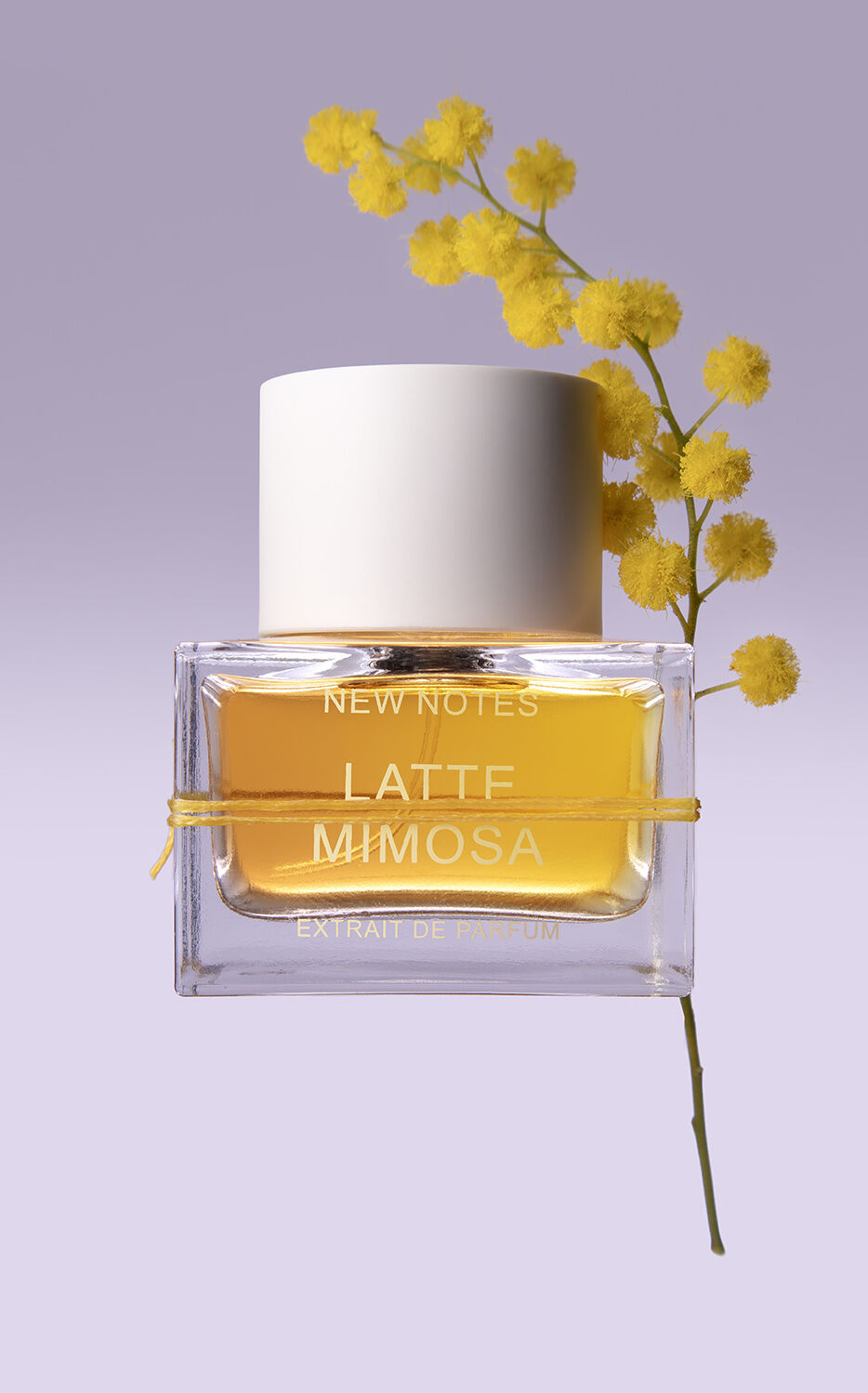 Latte Mimosa New Notes parfum - un nou parfum unisex 2024