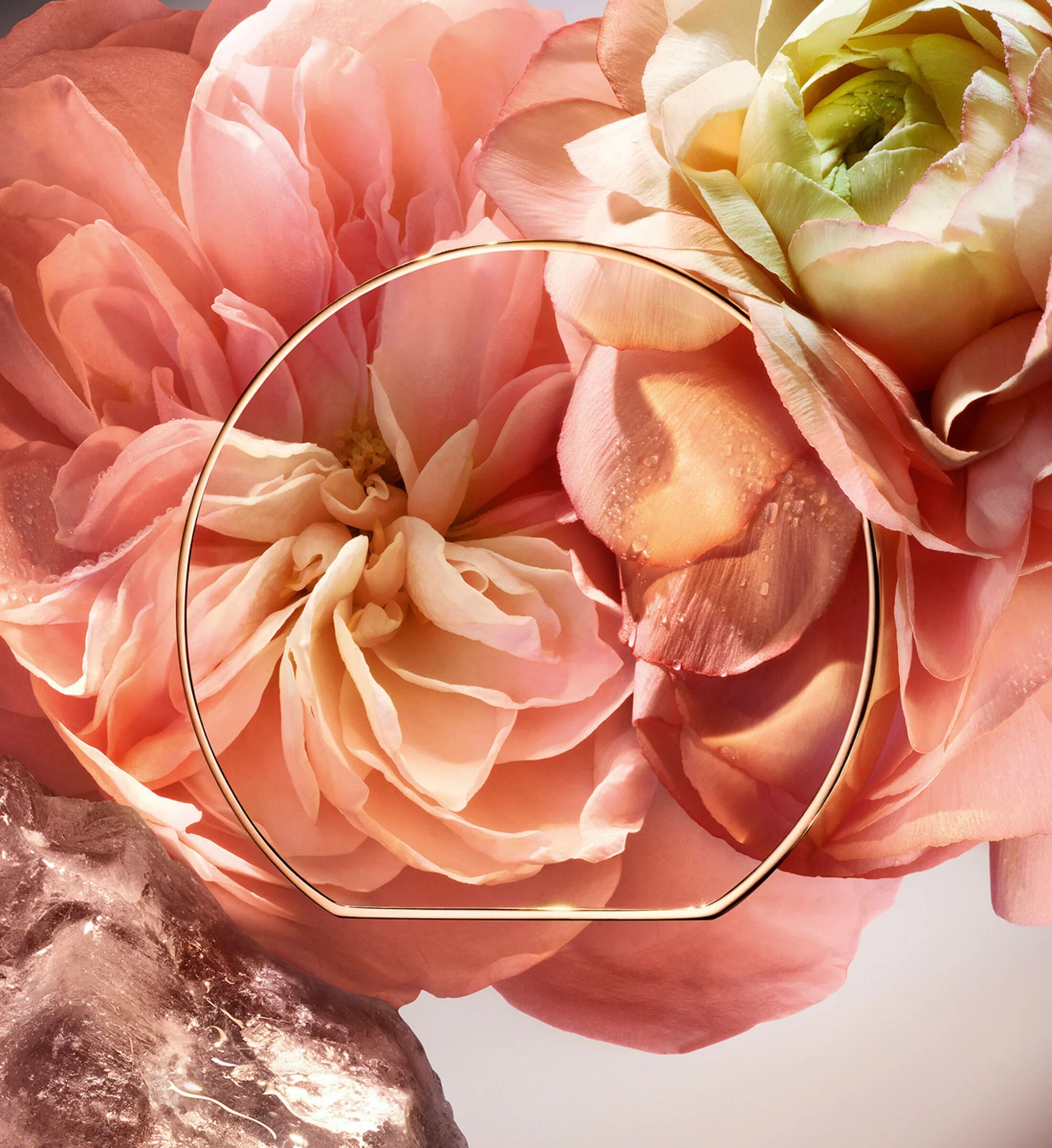 Absolue 1001 Roses Lancôme parfem - novi parfem za žene 2024