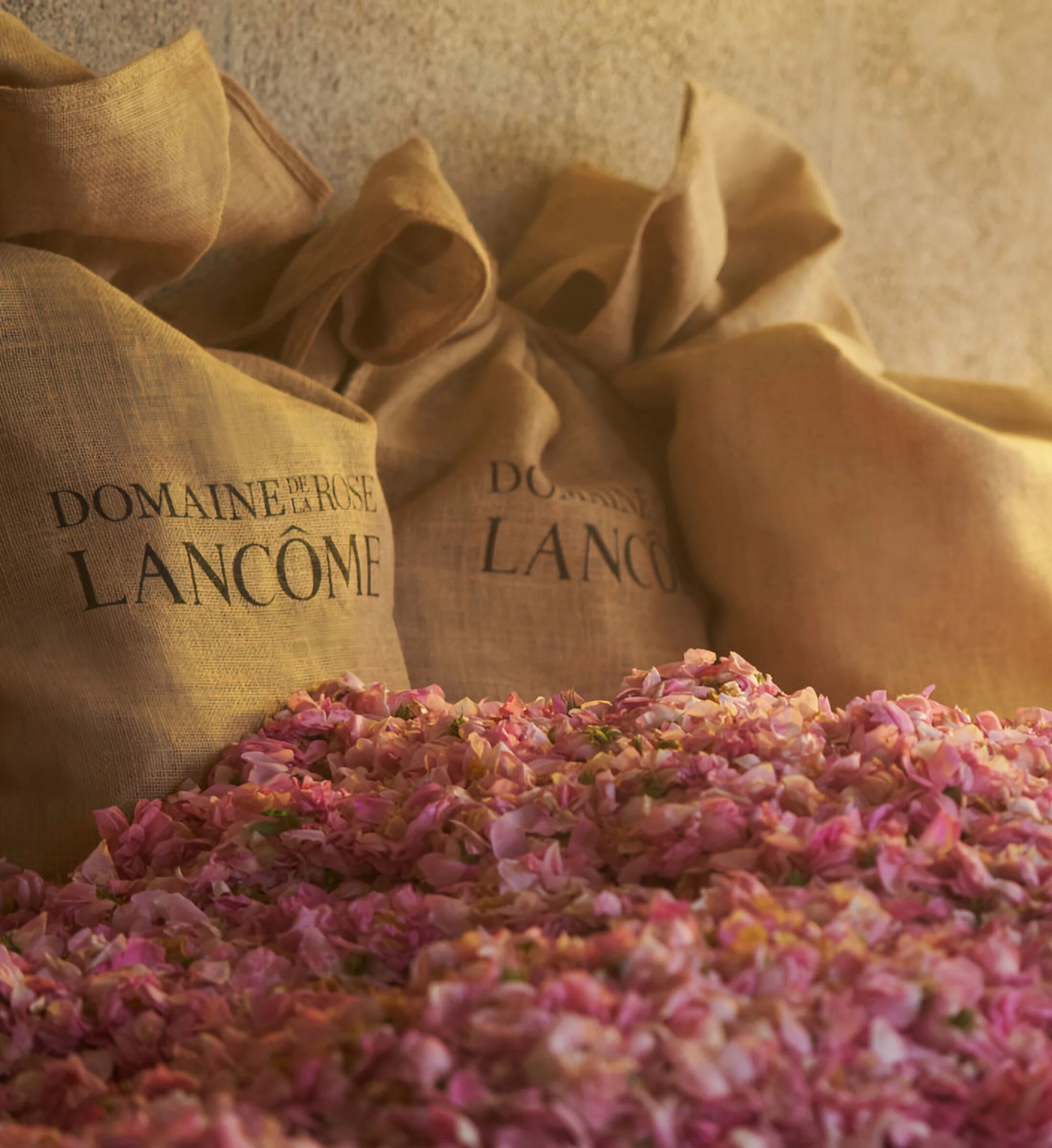 Absolue 1001 Roses Lancôme parfum - un nouveau parfum pour femme 2024