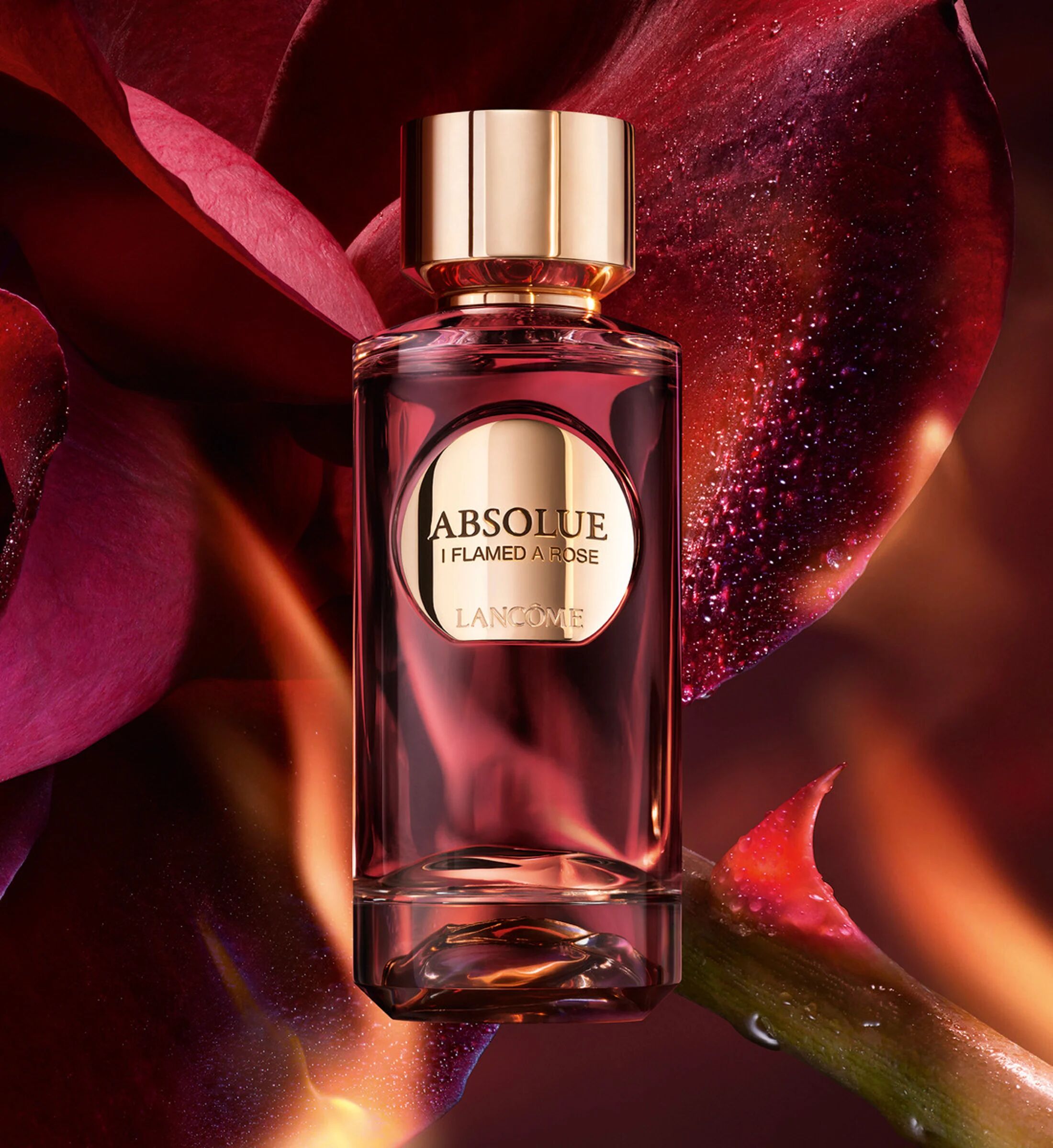 Absolue I Flamed A Rose Lancôme perfume - a novo fragrância ...
