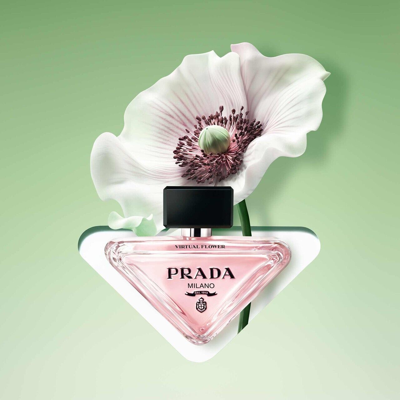 Prada Paradoxe Virtual Flower Prada perfumy - to nowe perfumy dla ...