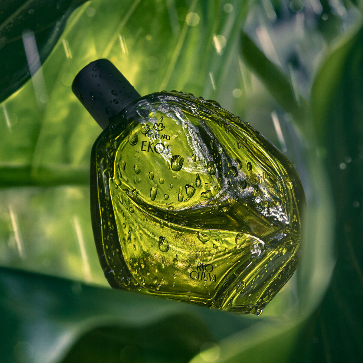 Ryo Chuva Natura Parfum - ein neues Parfum für Frauen und Männer 2024