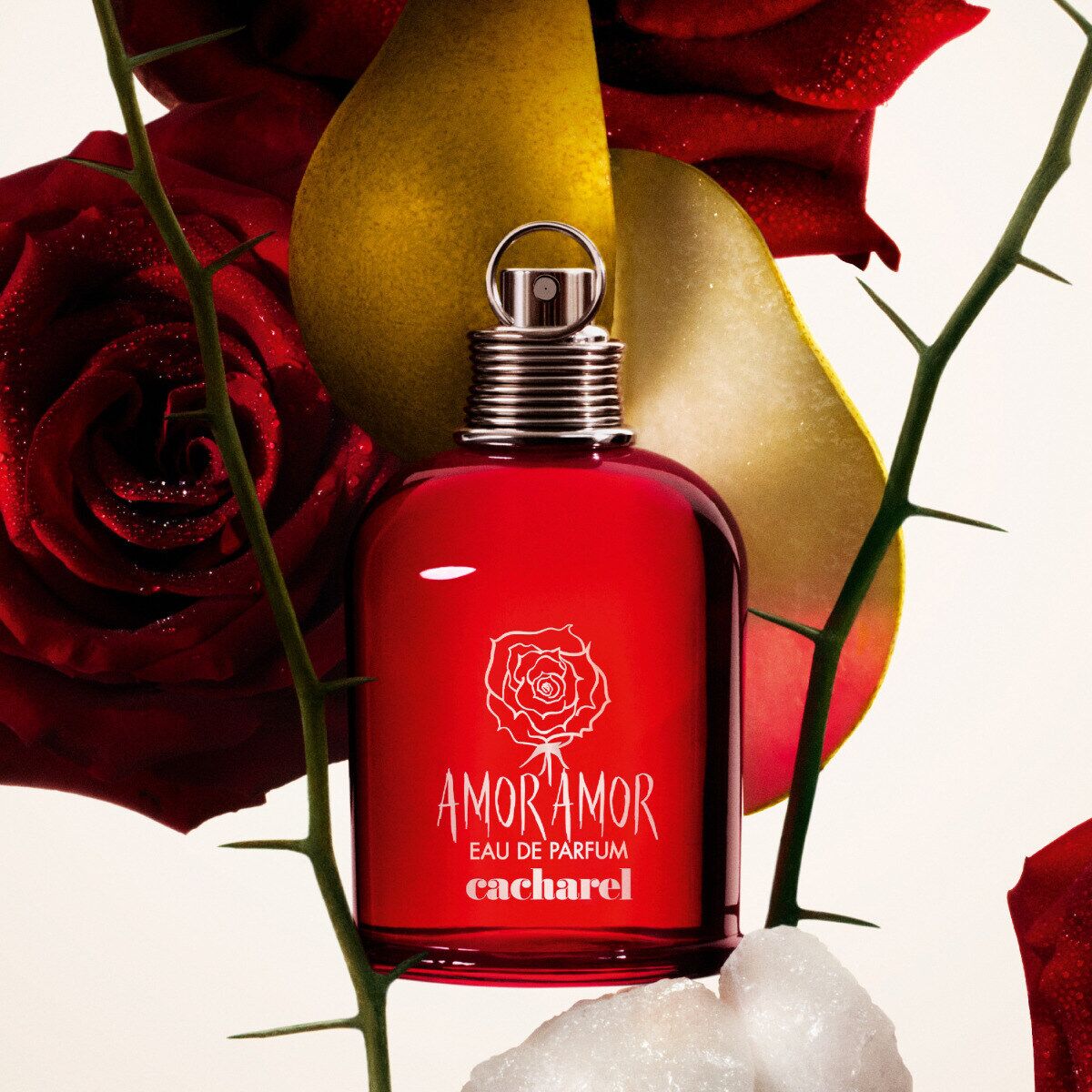 Amor Amor Eau de Parfum Cacharel аромат — новый аромат для женщин 2024
