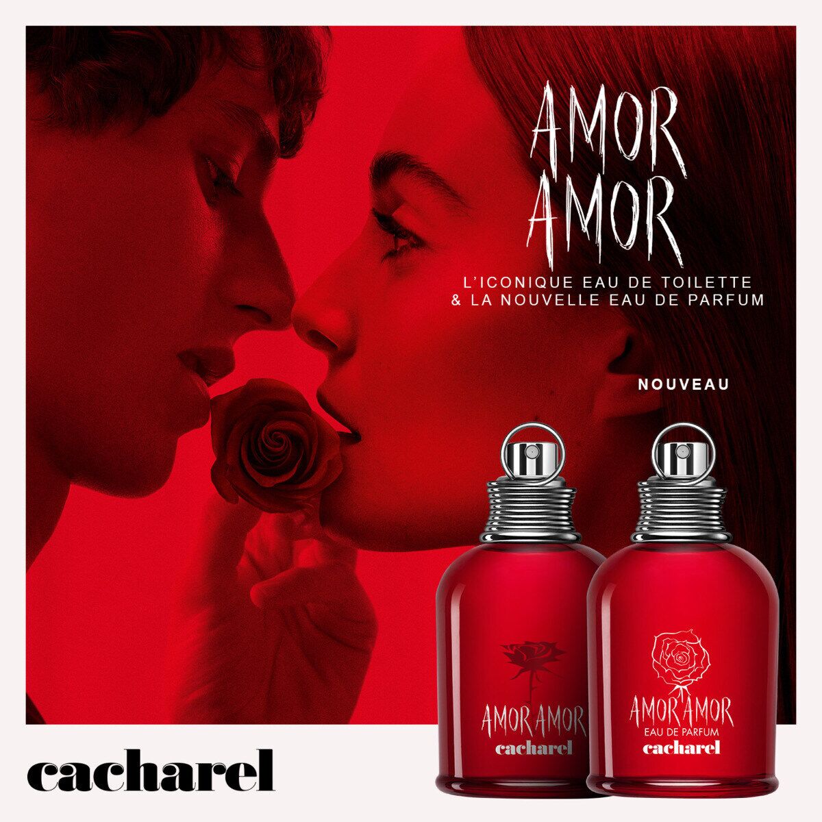 Amor Amor Eau de Parfum Cacharel Parfum - ein neues Parfum für Frauen 2024