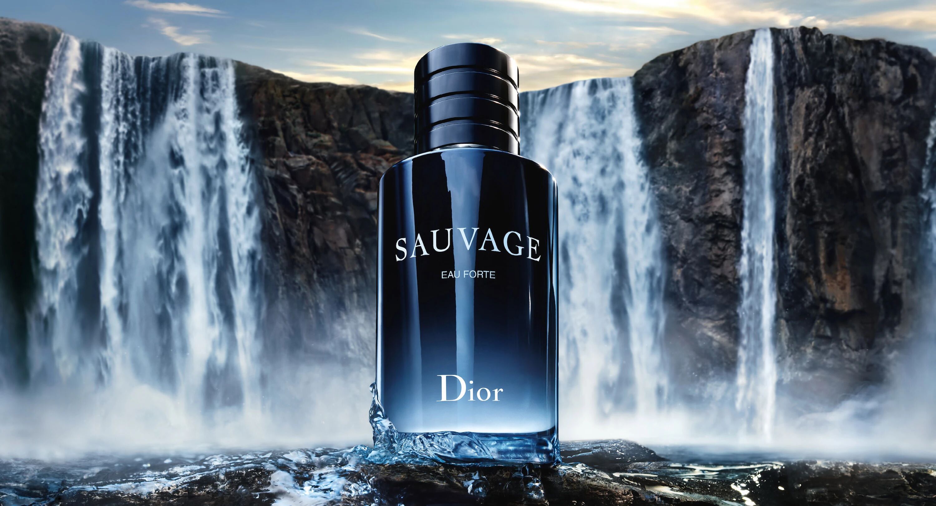 Sauvage Eau Forte Dior Colonia - una nuevo fragancia para Hombres 2024