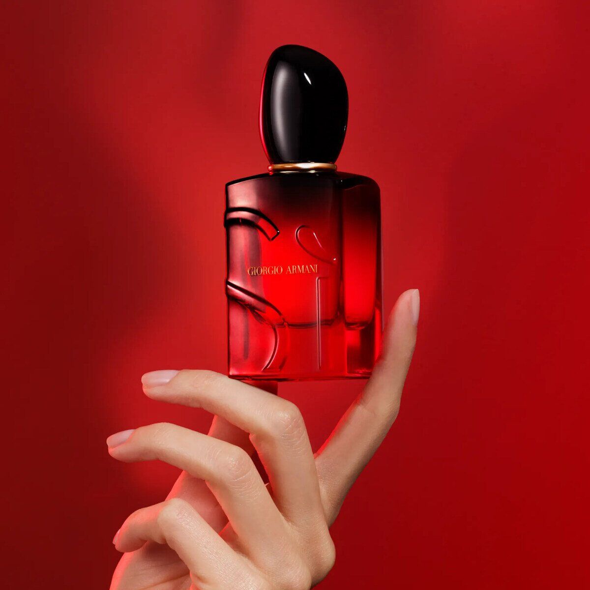 Sì Passione Intense (2024) Giorgio Armani Parfum - ein neues Parfum für Frauen 2024