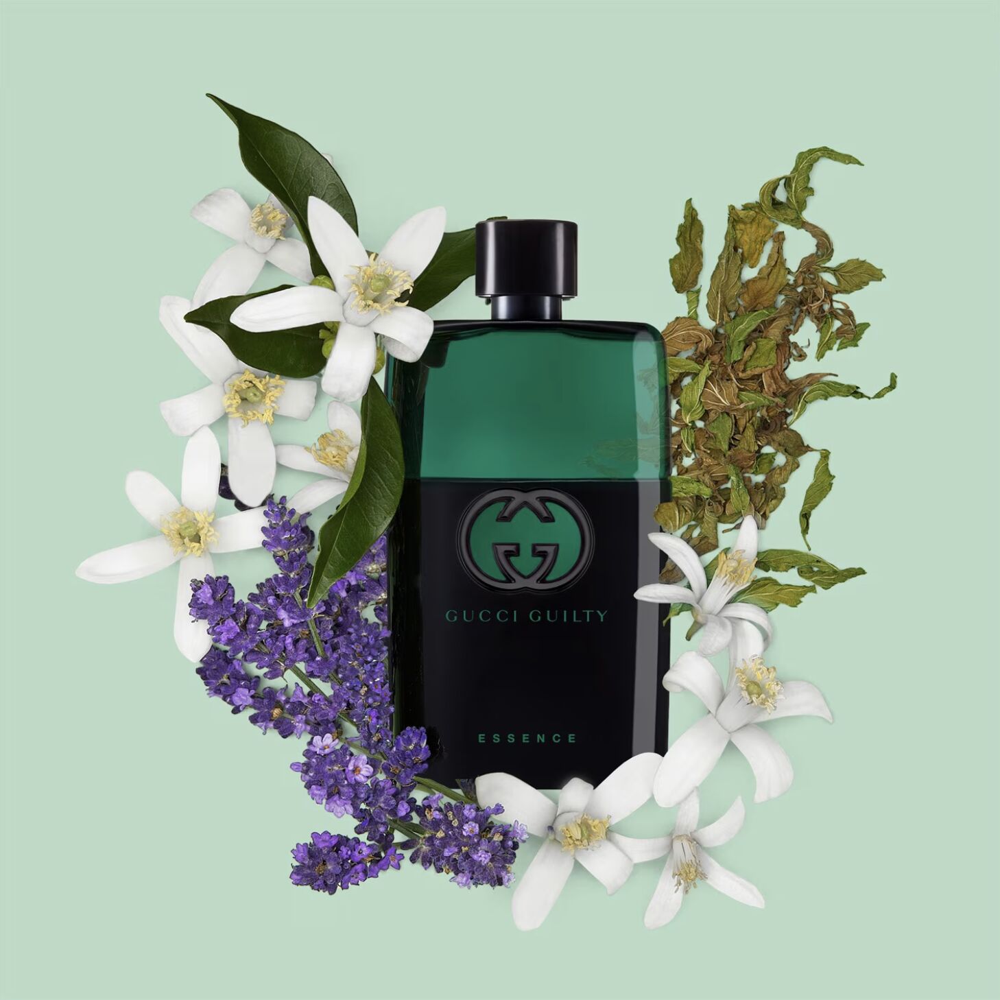 Gucci Guilty Essence Pour Homme Gucci Colonia - una nuevo fragancia ...