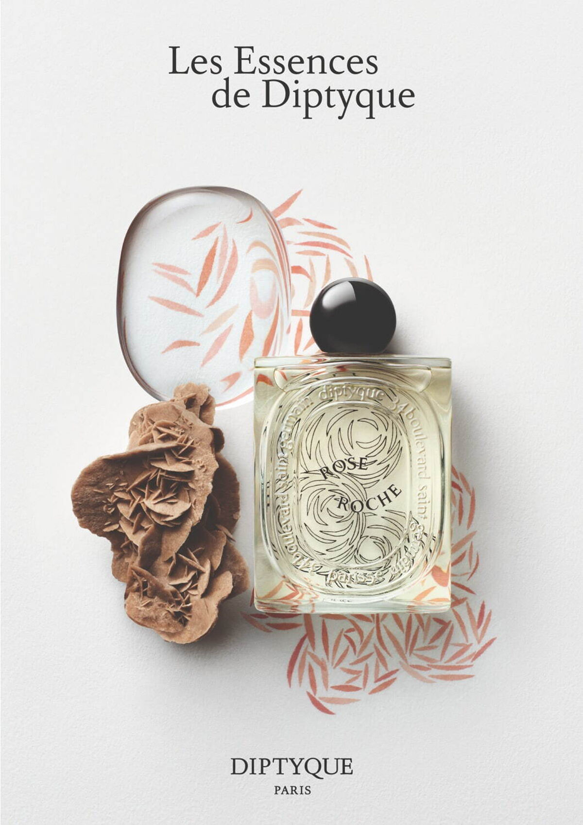 Rose Roche Diptyque fragancia - una nuevo fragancia para Hombres y ...