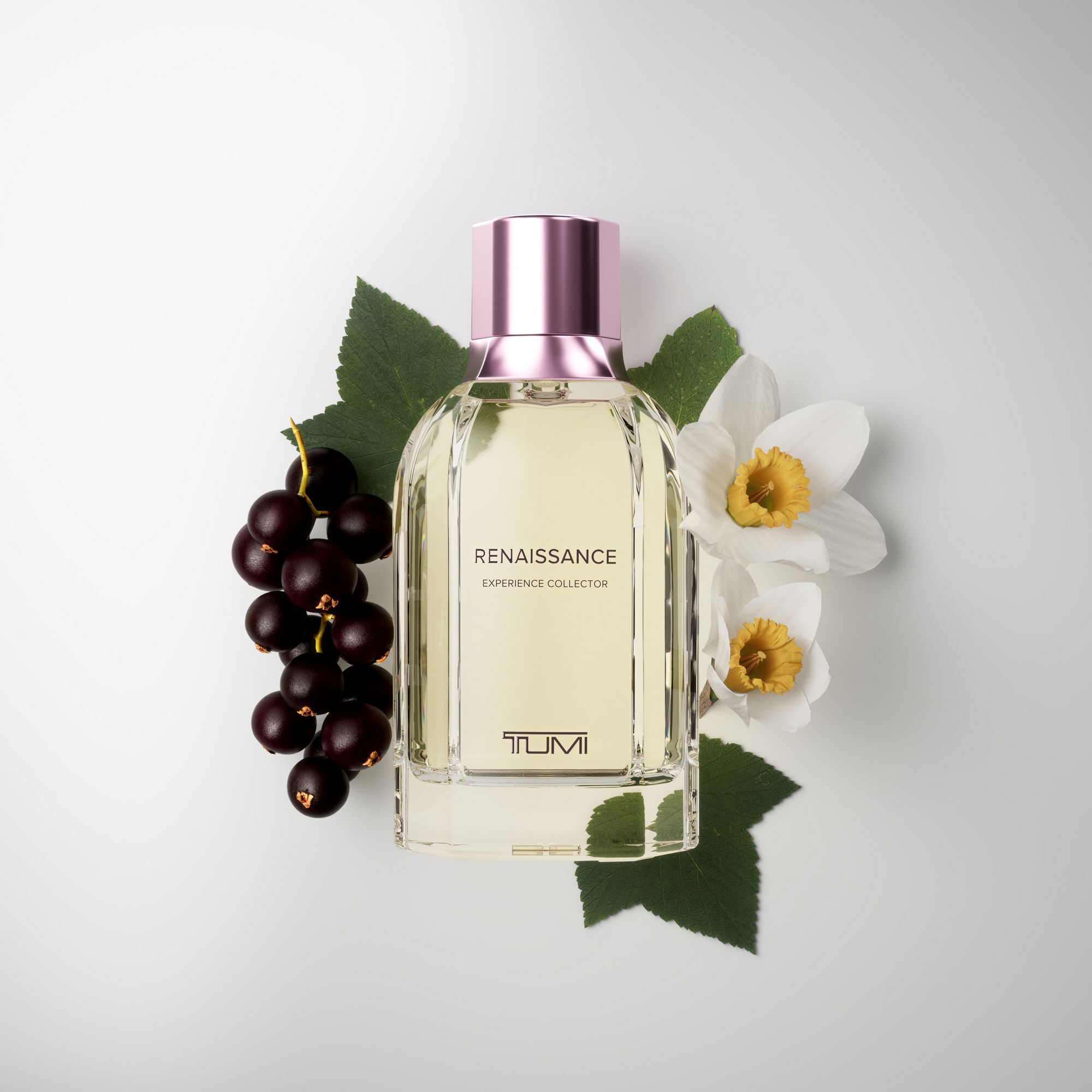 Renaissance TUMI parfum - un nouveau parfum pour femme 2024