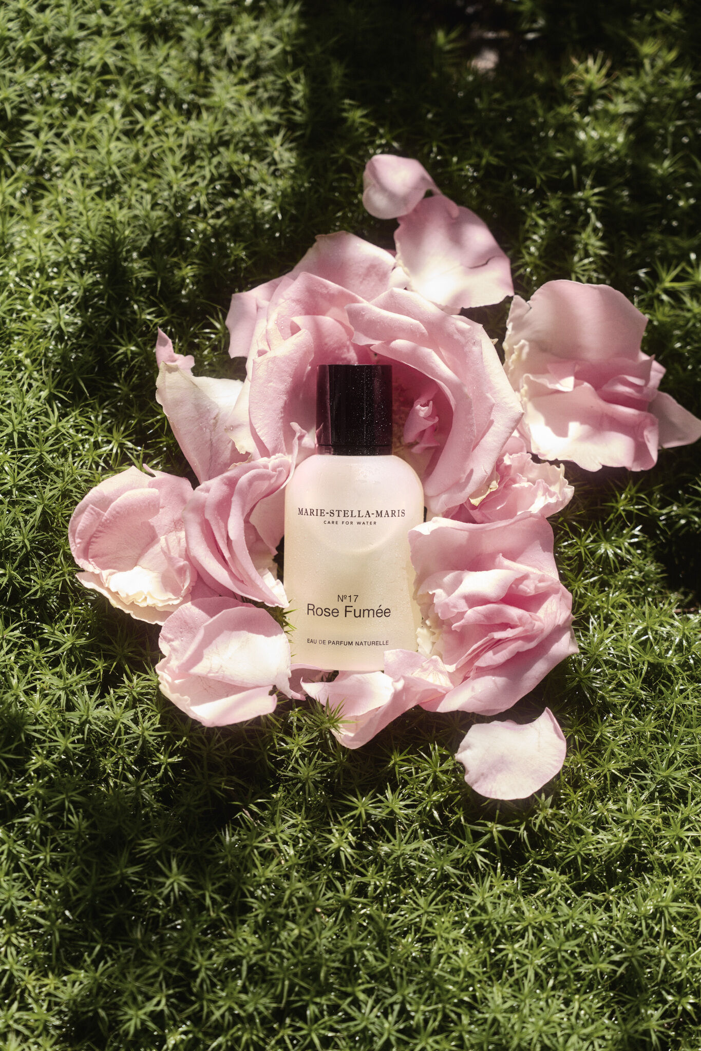 Rose Fumée No 17 Marie Stella Maris Parfum Een Nieuwe Geur Voor Dames