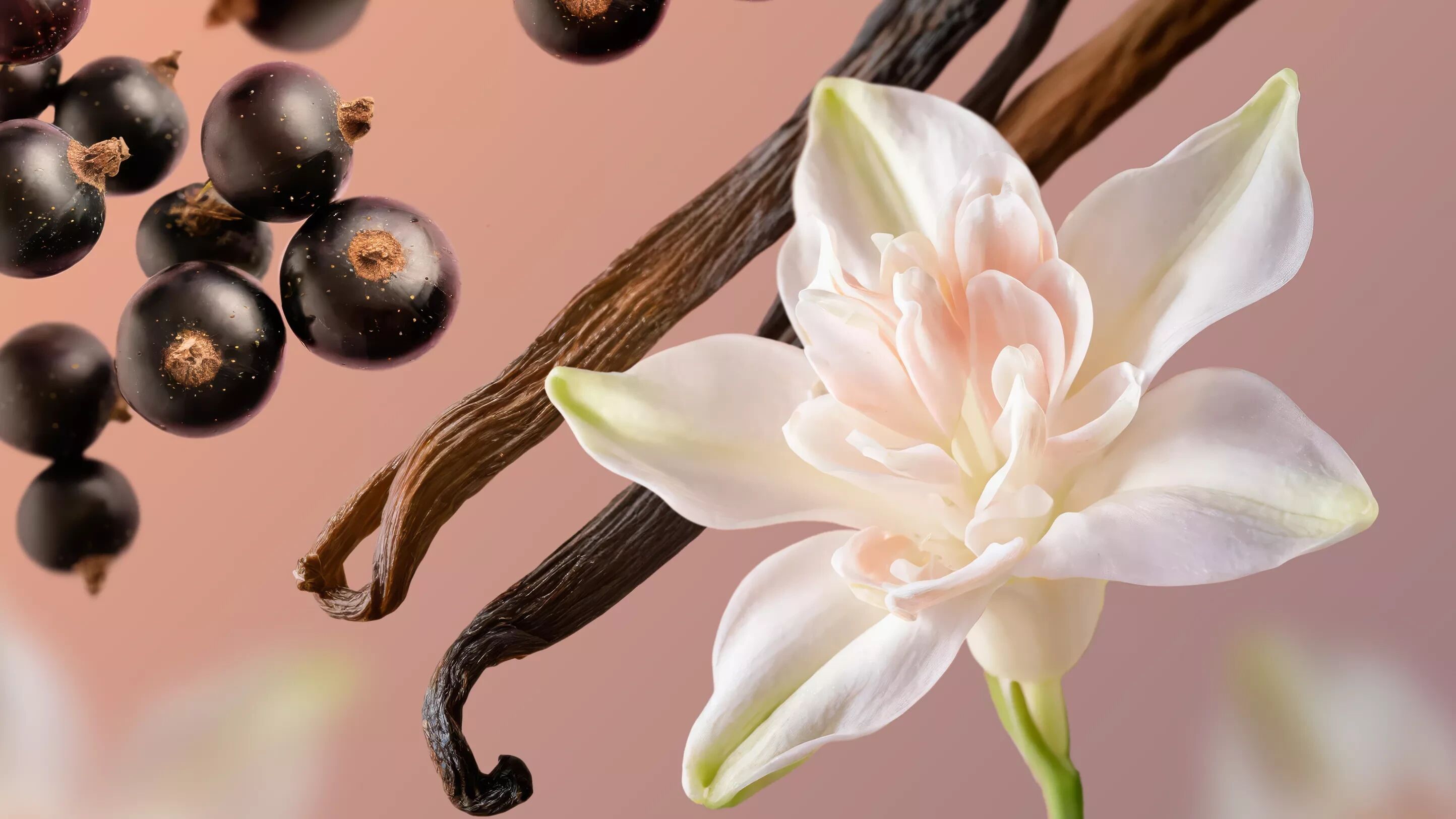 Ciel Rouge Rituals Parfum - ein neues Parfum für Frauen und Männer 2024