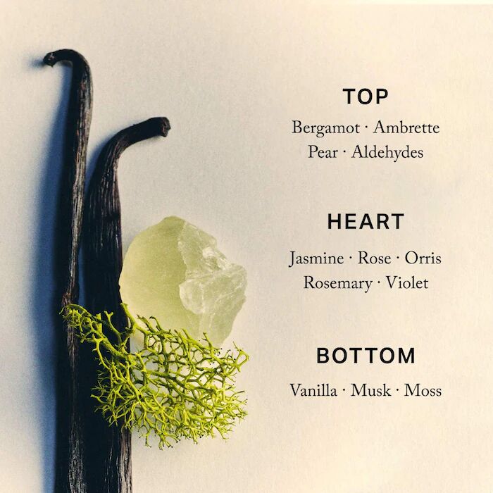 Retrospect Merit perfume - a novo fragrância Feminino 2024