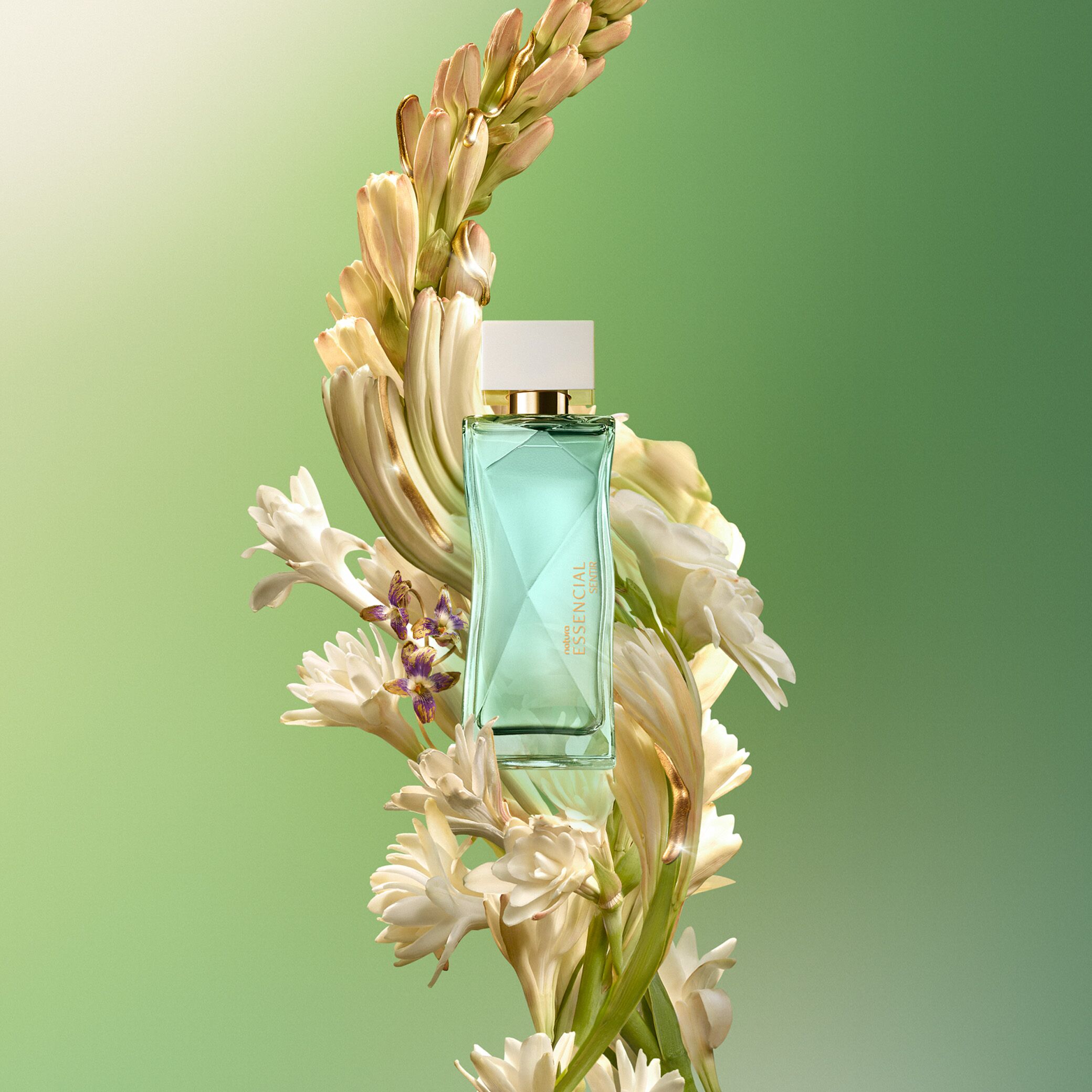 Essencial Sentir Natura 香水 - 一款 2024年 新的 女用 香水