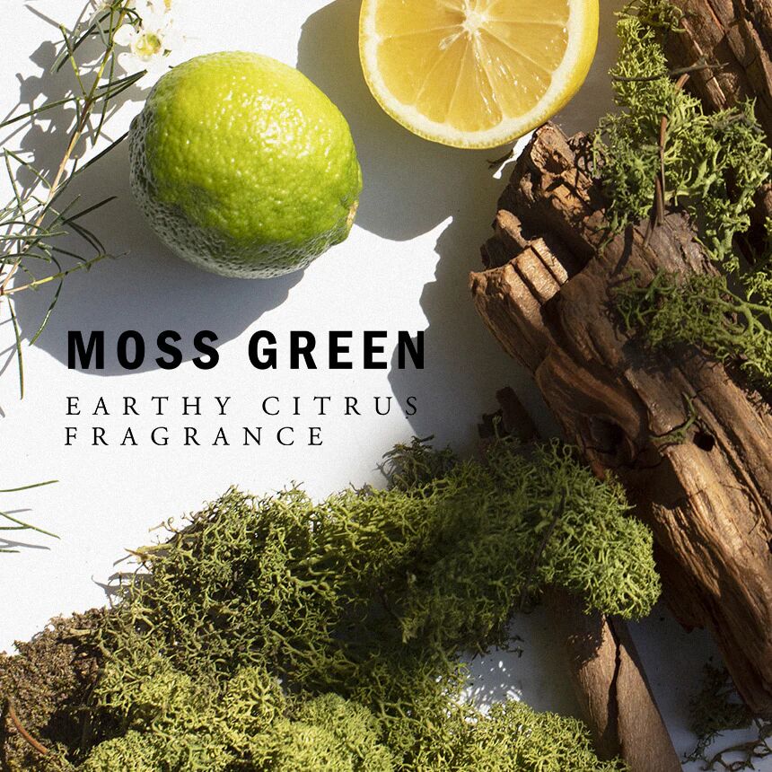 Moss Green LOE parfum - un nouveau parfum pour homme et femme 2023
