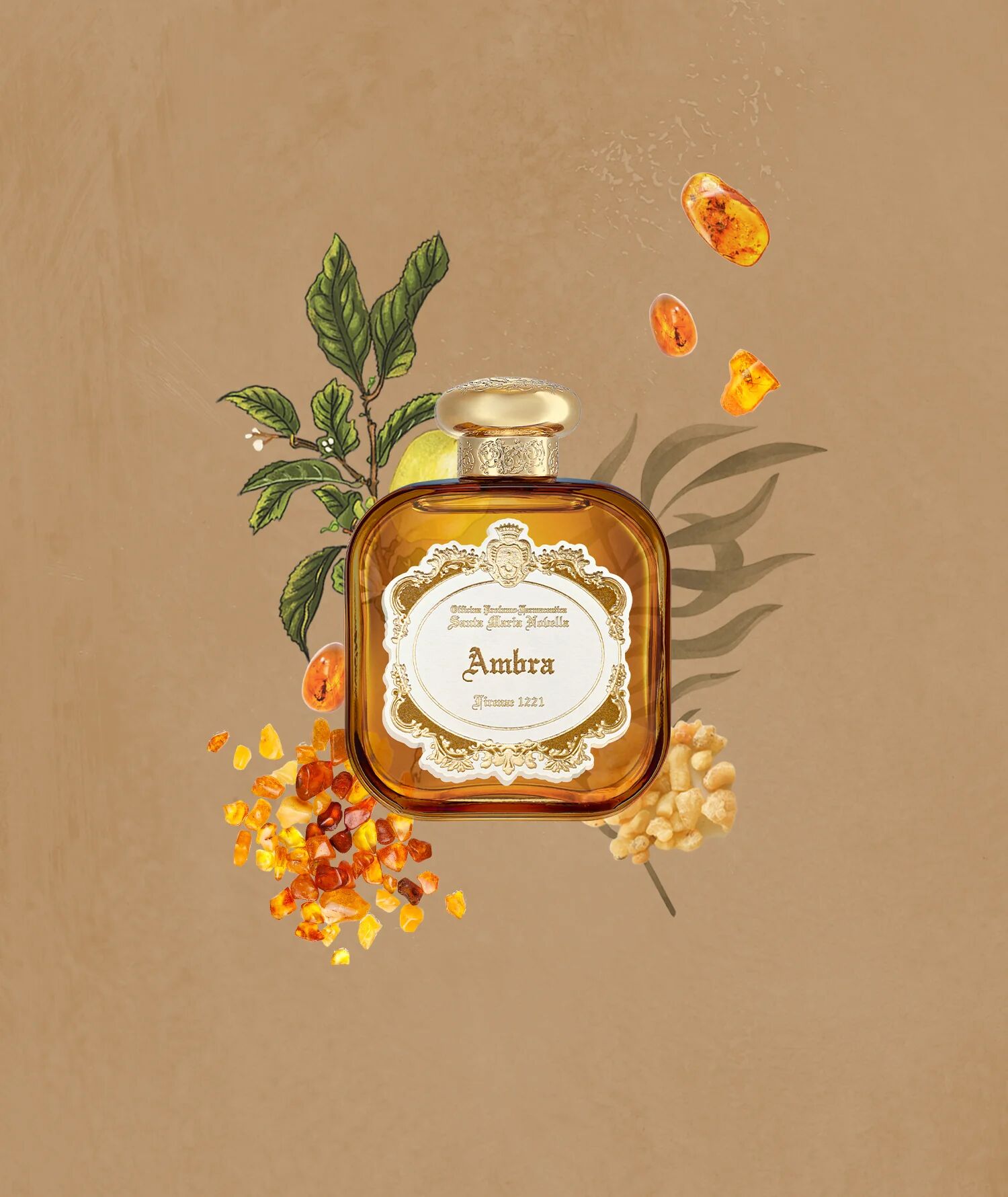 Ambra Santa Maria Novella parfum - un nouveau parfum pour homme et ...