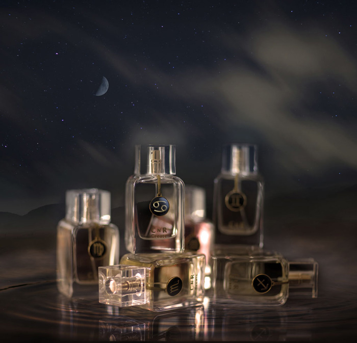 Gemini CnR Create parfum - un parfum pour femme 2008