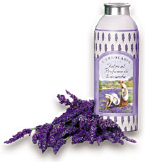 Lavanda L'Erbolario fragancia - una fragancia para Mujeres