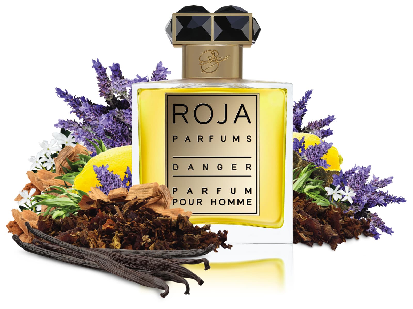 Danger Pour Homme Roja Dove Colonia - una fragancia para Hombres 2011