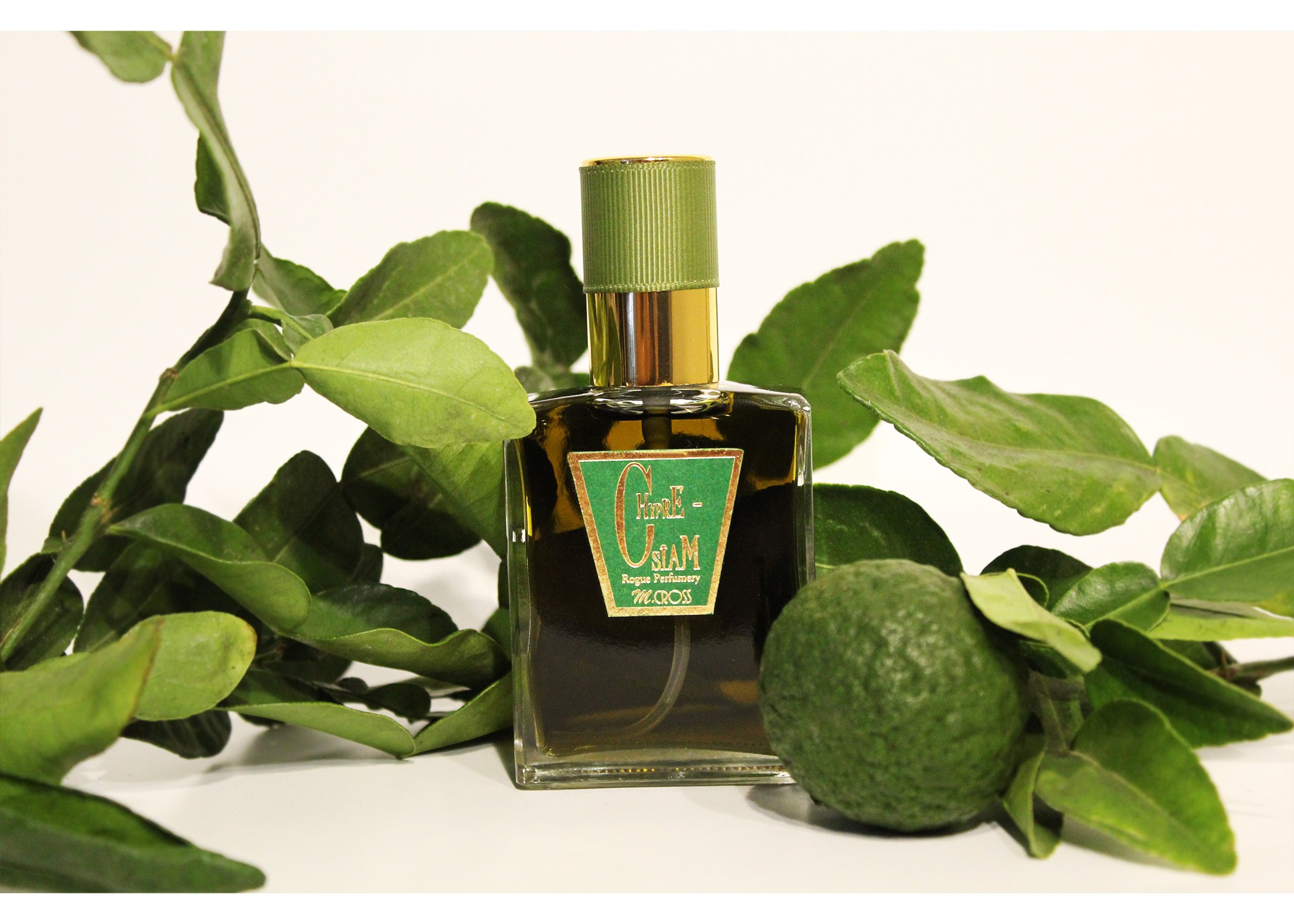 Chypre-Siam Rogue Perfumery perfume - a fragrance for women and men 2017