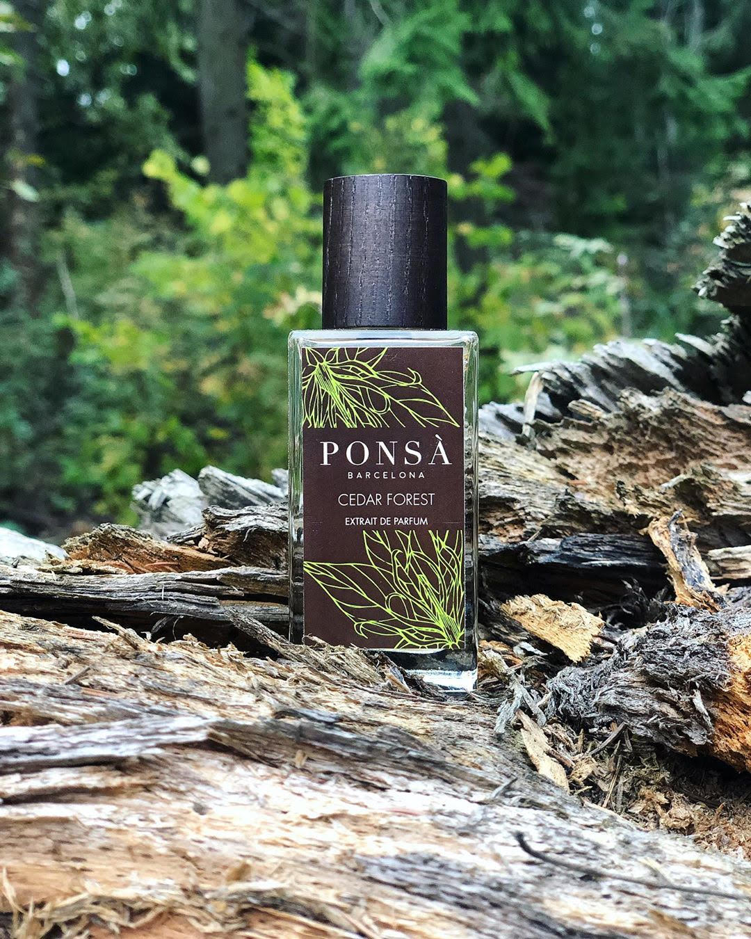 Cedar Forest Ponsa parfum - een geur voor dames en heren 2019