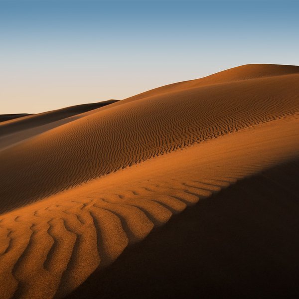 Al Sahra The Different Company parfum - un parfum pour homme et femme 2020