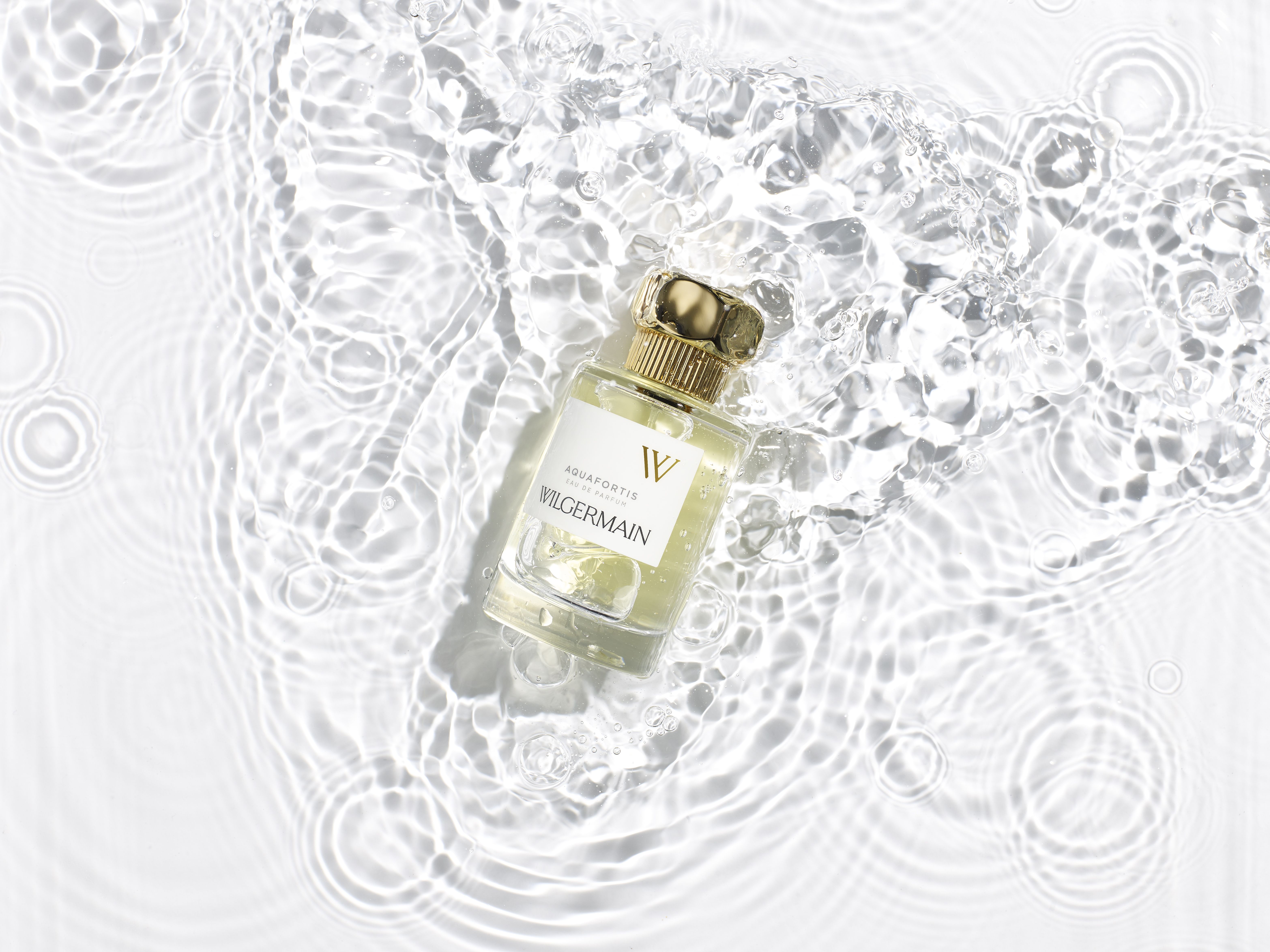 Passion Victim Wilgermain parfum - un parfum pour homme et femme 2020