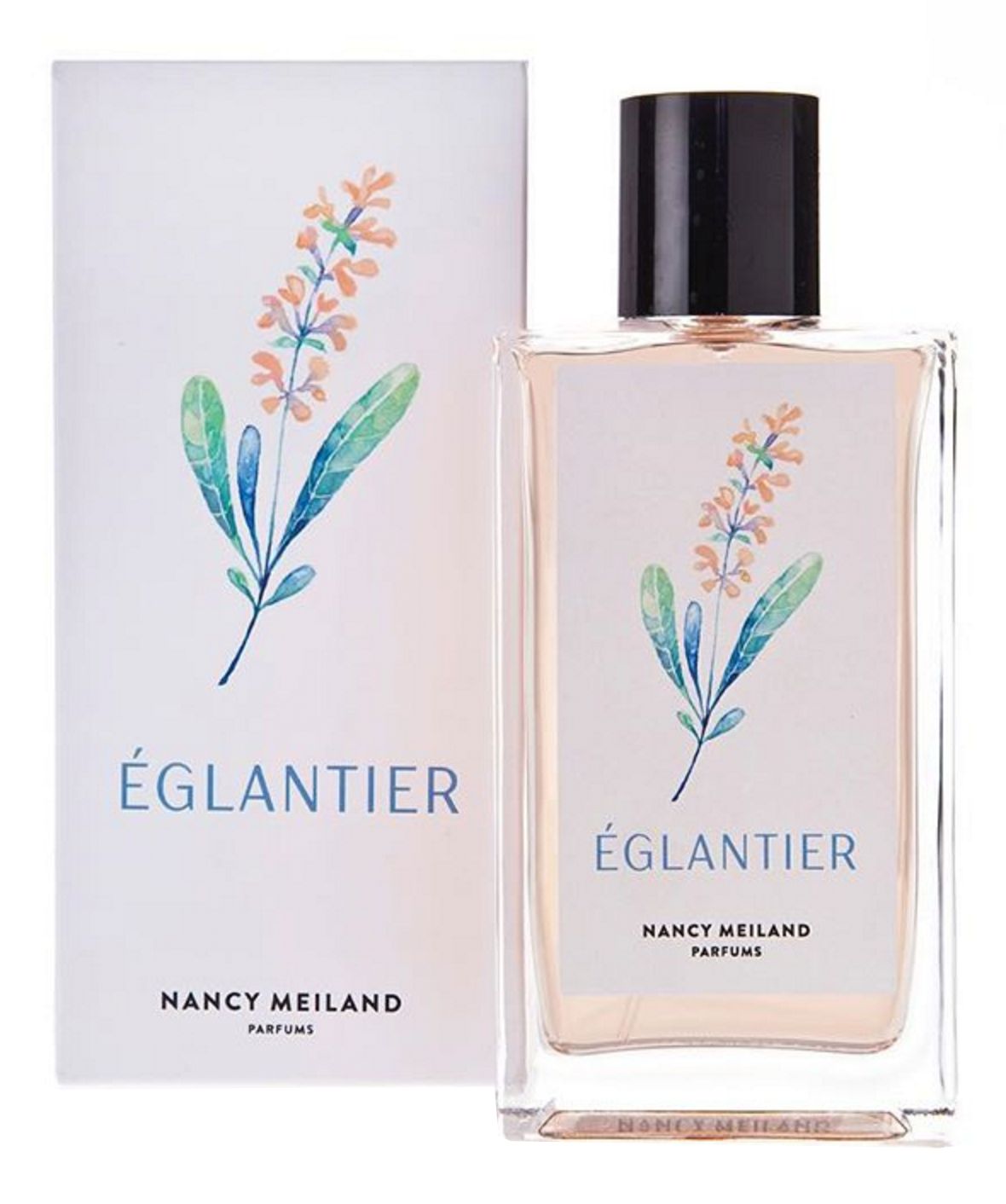 Églantier Nancy Meiland Parfums parfum - un parfum pour homme et femme 2017