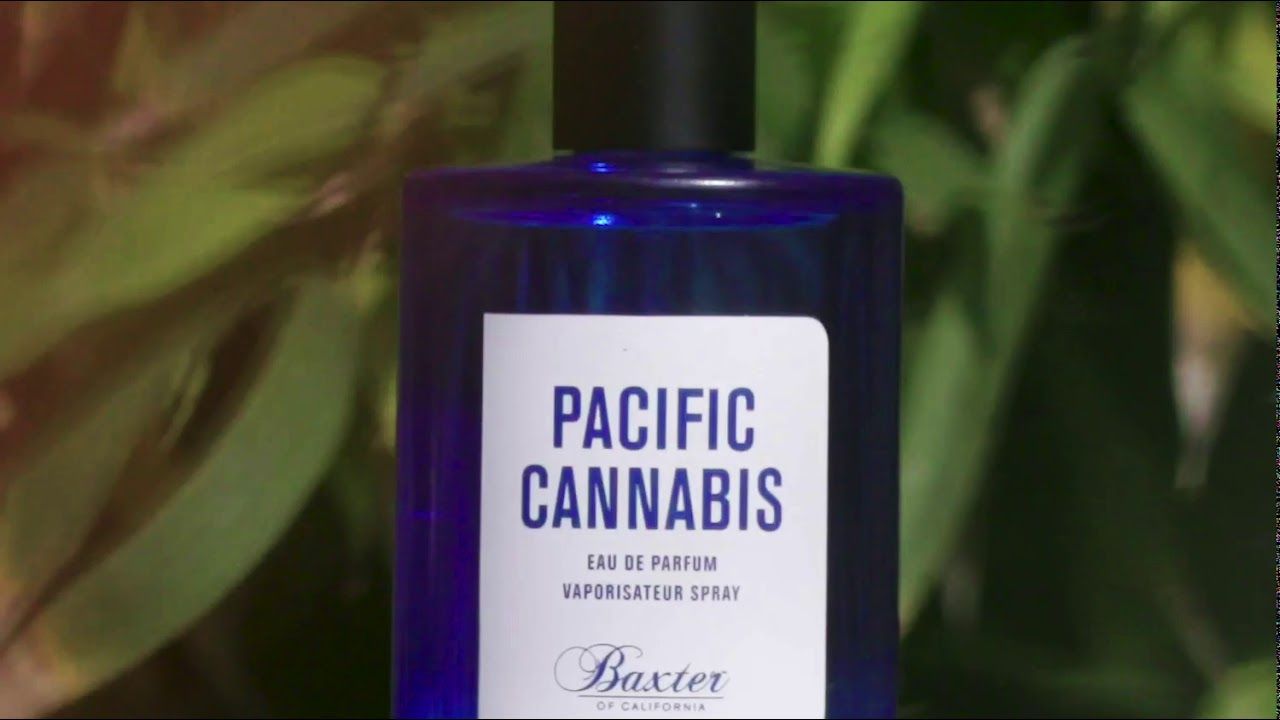 Pacific Cannabis Baxter of California perfume - a fragrância ...