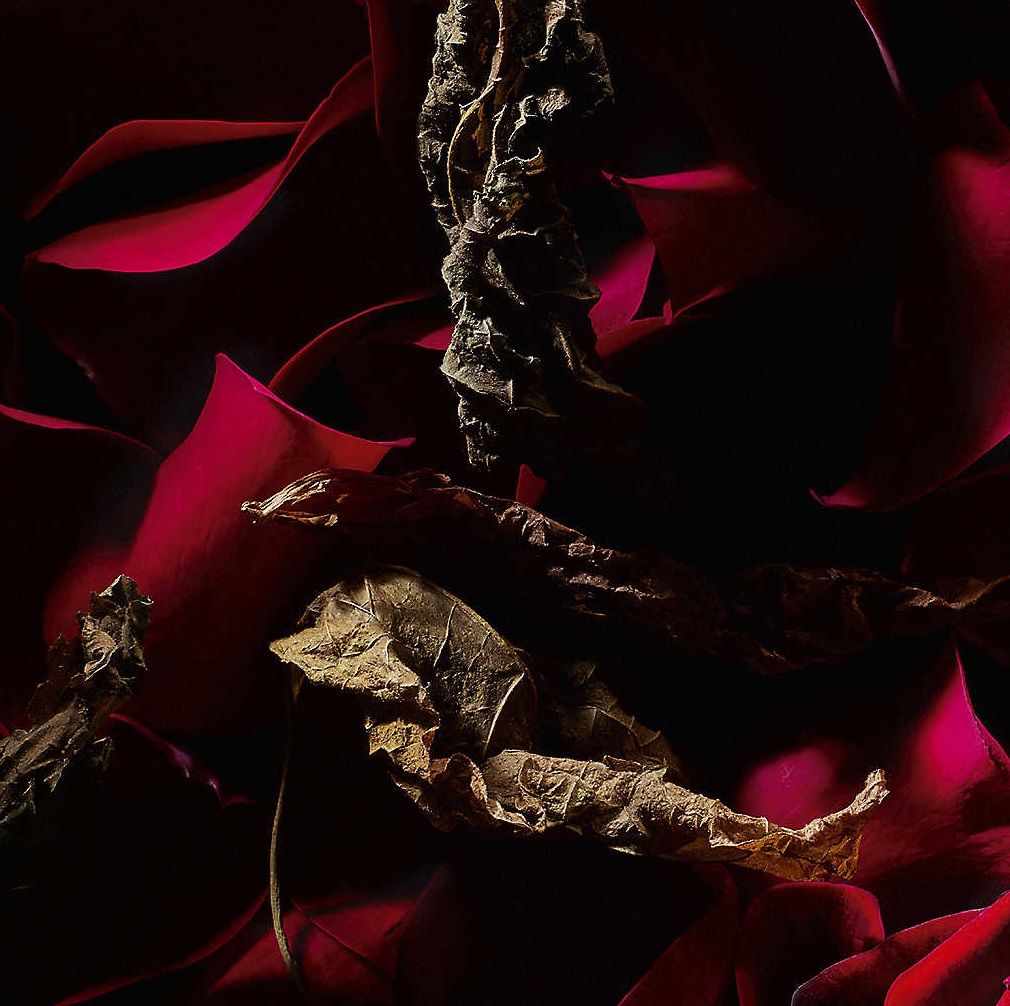 Rouge Velours Yves Saint Laurent Parfum - ein neues Parfum für Frauen ...