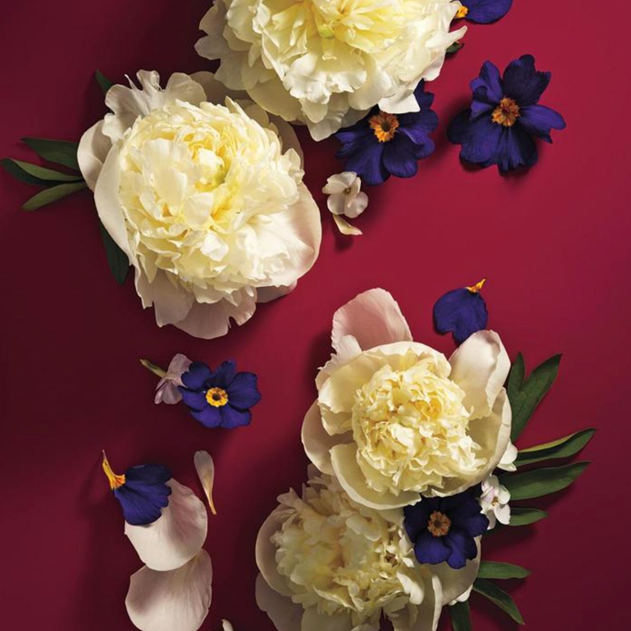 Haiku Kyoto Flower Intense Avon parfum - un parfum unisex 2021