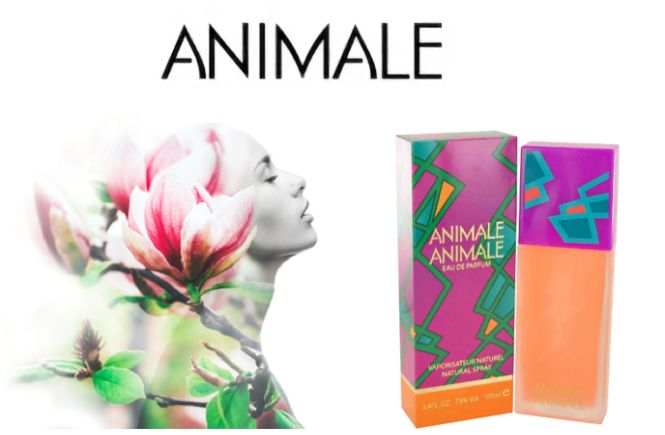 Animale Animale Animale сүрчиг - a сүрчиг эмэгтэй 1994