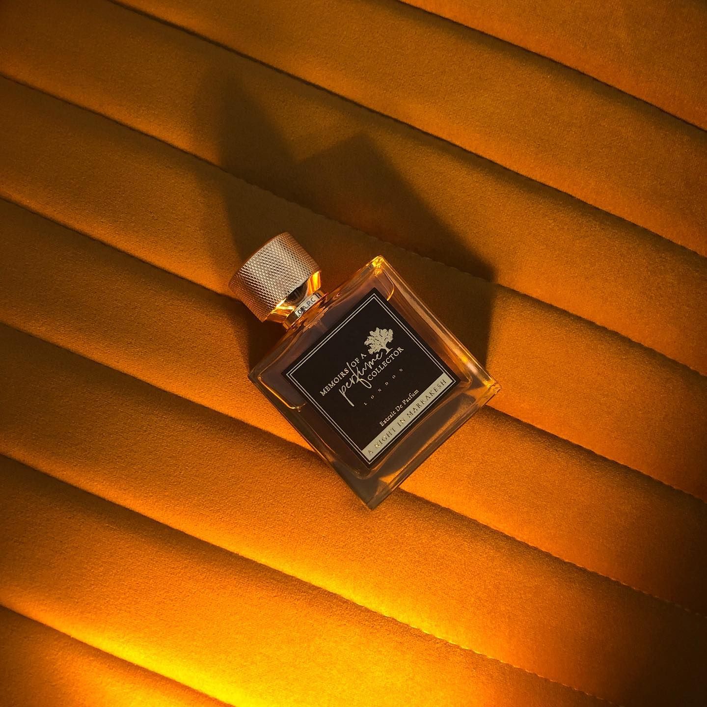 A Night In Marrakesh Memoirs Of A Perfume Collector عطر - a جديد ...