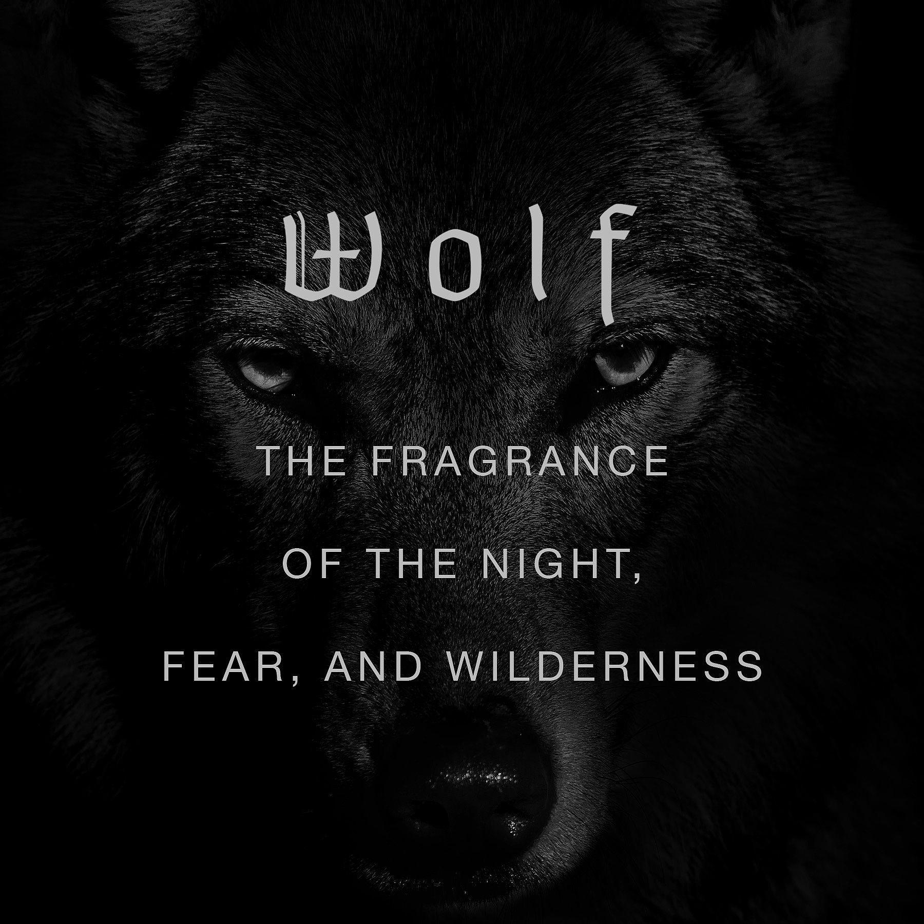 Wolf Wolf Brothers perfume - a novo fragrância Compartilhável 2021