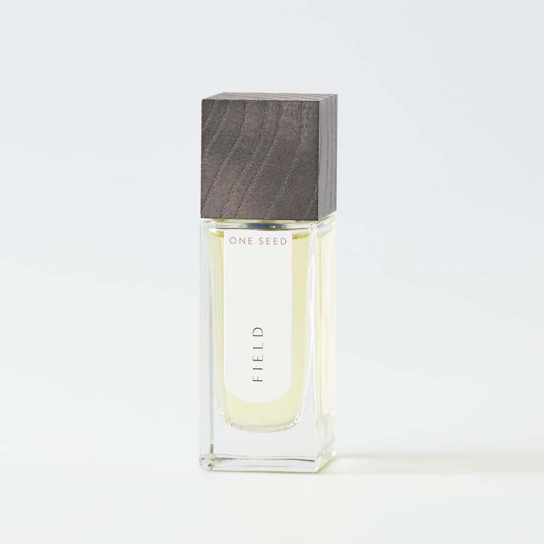 Field Sensor I Am сүрчиг - a шинэ сүрчиг эрэгтэй эмэгтэй 2022