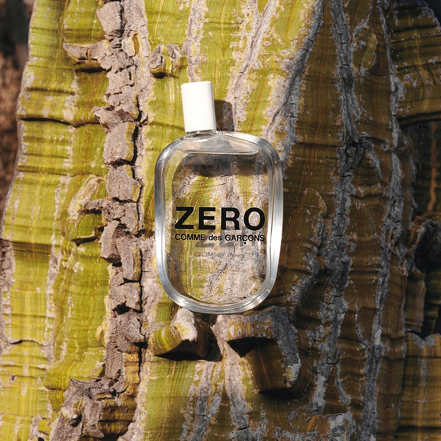Zero Comme des Garcons fragancia - una nuevo fragancia para Hombres y ...