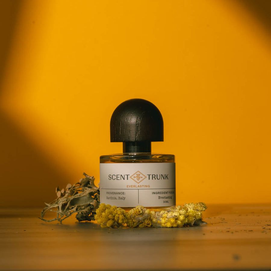 Everlasting Scent Trunk fragancia - una fragancia para Hombres y Mujeres
