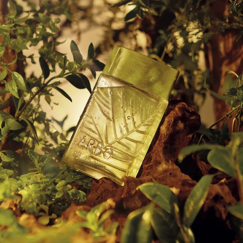 Arbo Forest O Boticário κολόνια - ένα νέο άρωμα για άνδρες 2022