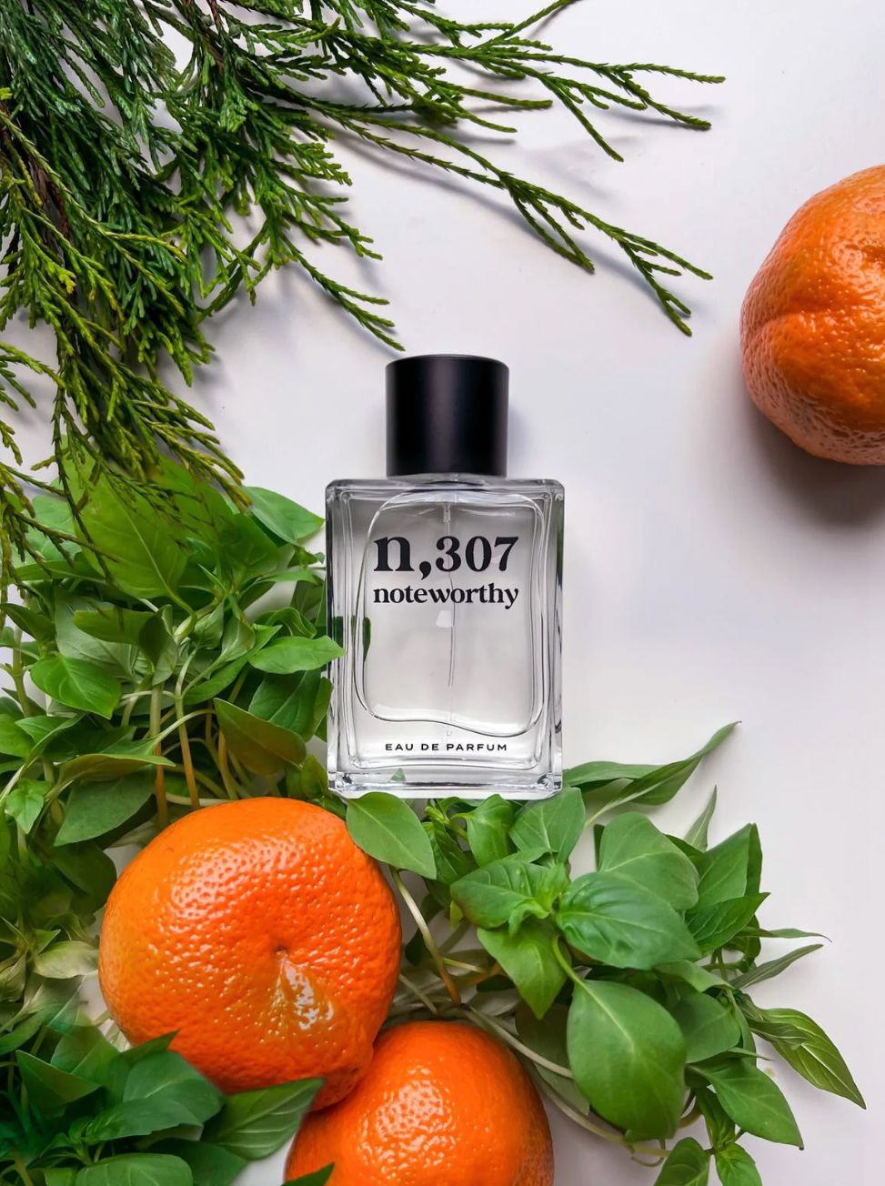 n,307 Noteworthy perfume - a novo fragrância Compartilhável 2022