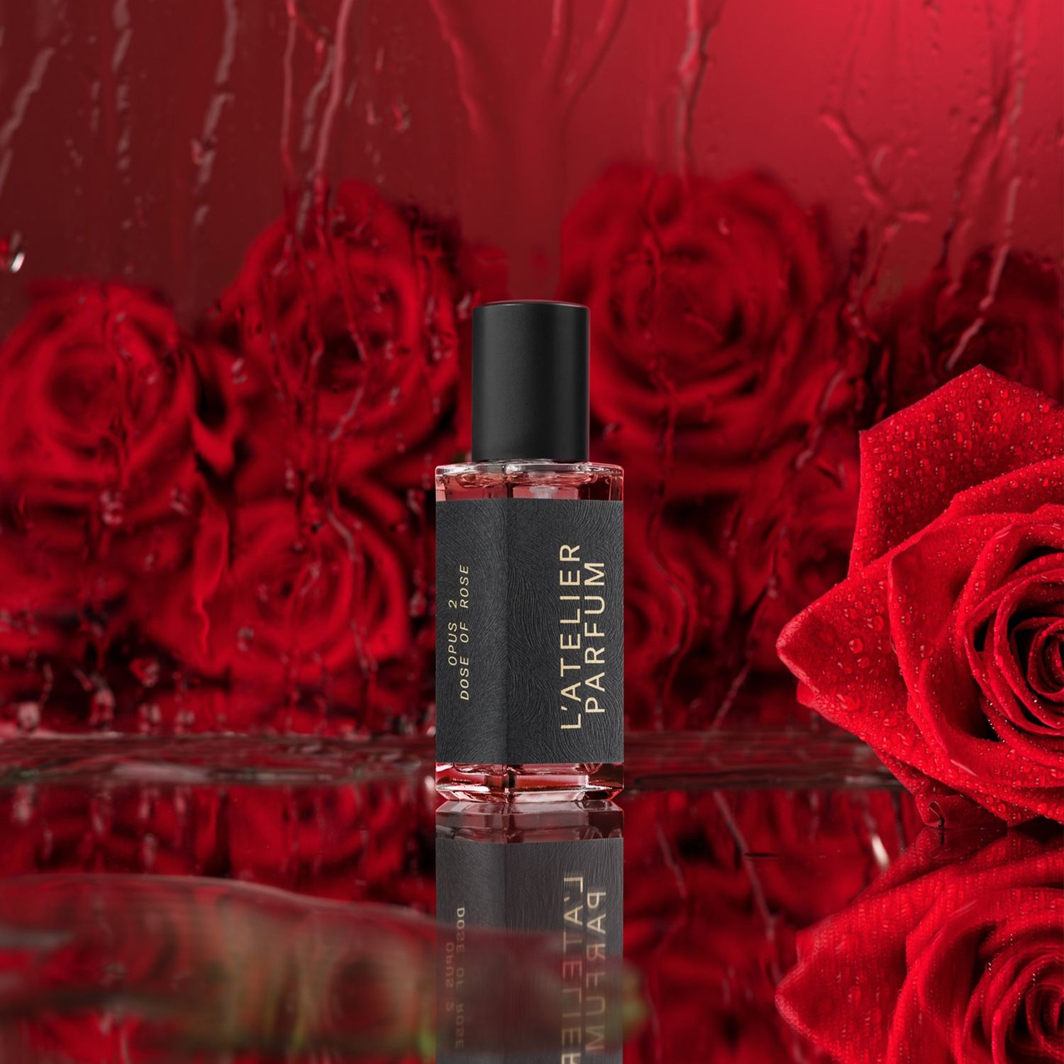 Dose Of Rose Latelier Parfum Parfum Een Nieuwe Geur Voor Dames En